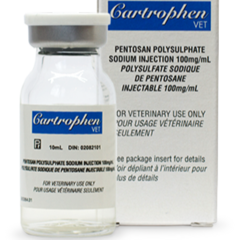 Cartrophen® pour le traitement de l'arthrose chez les chiens