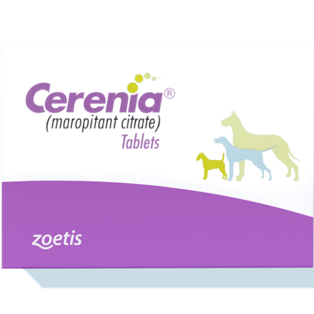 Cerenia® une aide contre les vomissements du chien et du chat