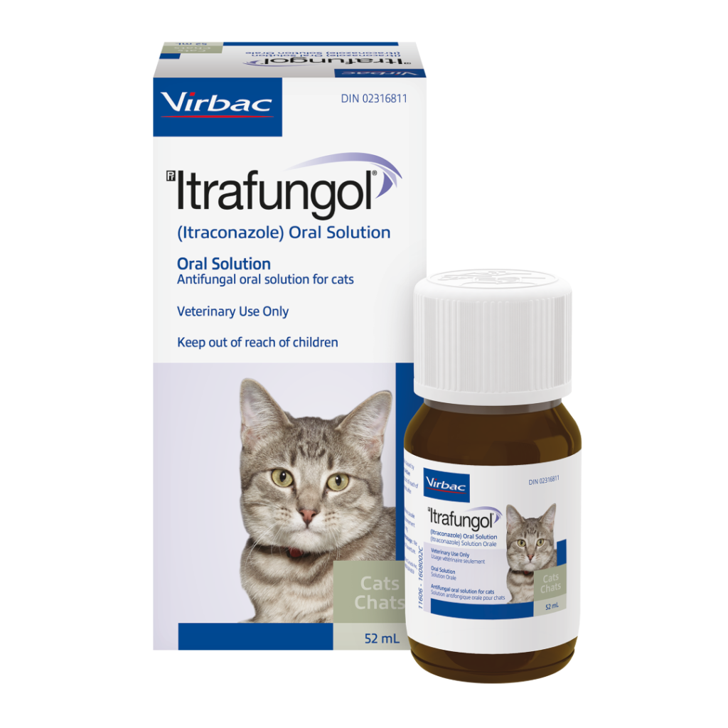 Oral antifungal for animals