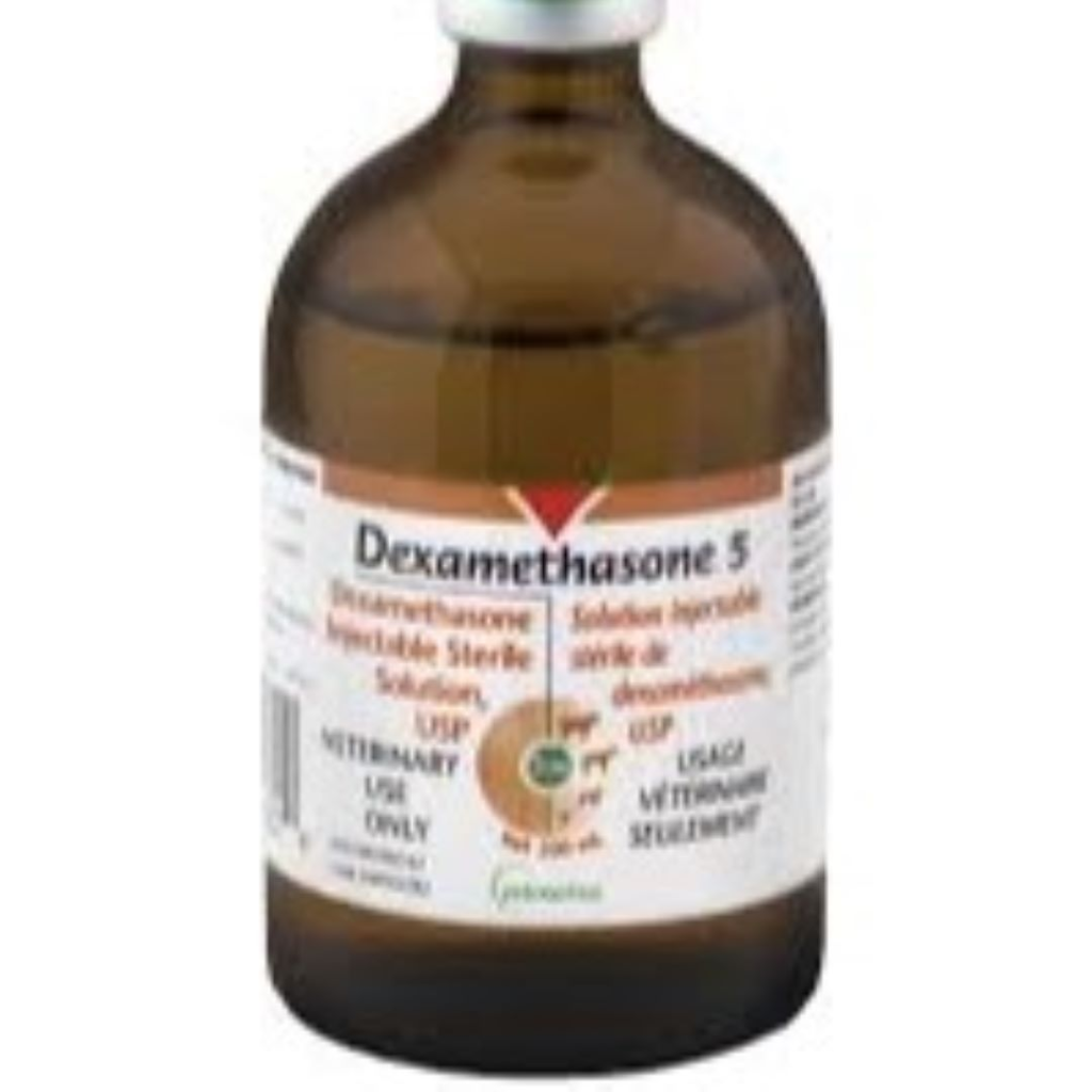 Dexaméthasone : anti-inflammatoire puissant pour chiens et chats